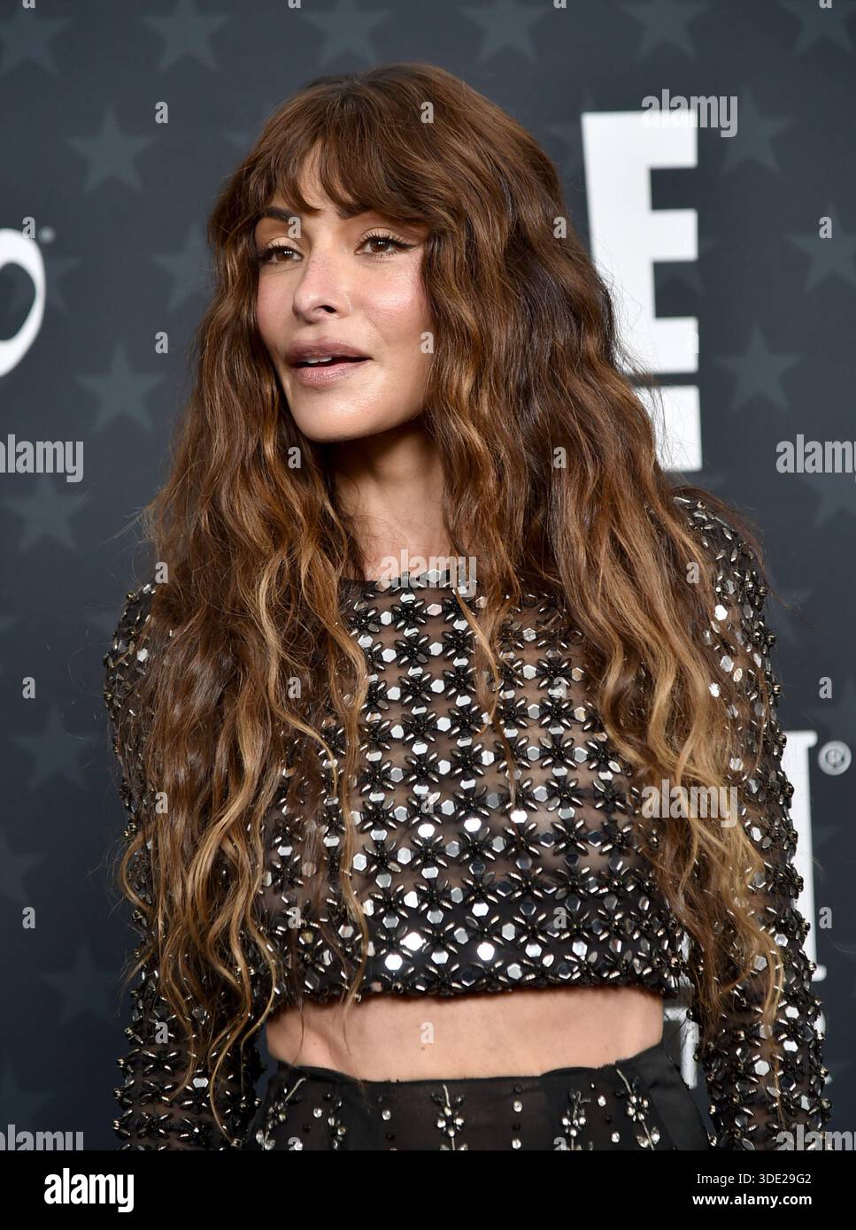 Sarah Shahi arrives at the 31st Annual Critics Choice Awards on Sunday ...