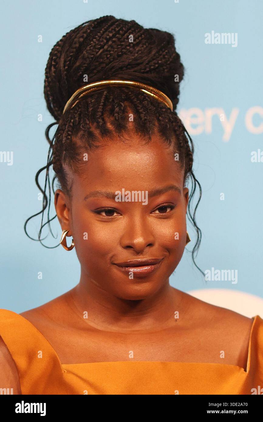 UNICEF Gala NYC 2025 held at Cipriani 25 Broadway Featuring: Amanda ...