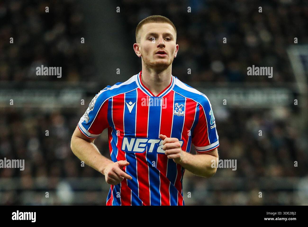 Adam Wharton Of Crystal Palace during the Newcastle United v Crystal ...