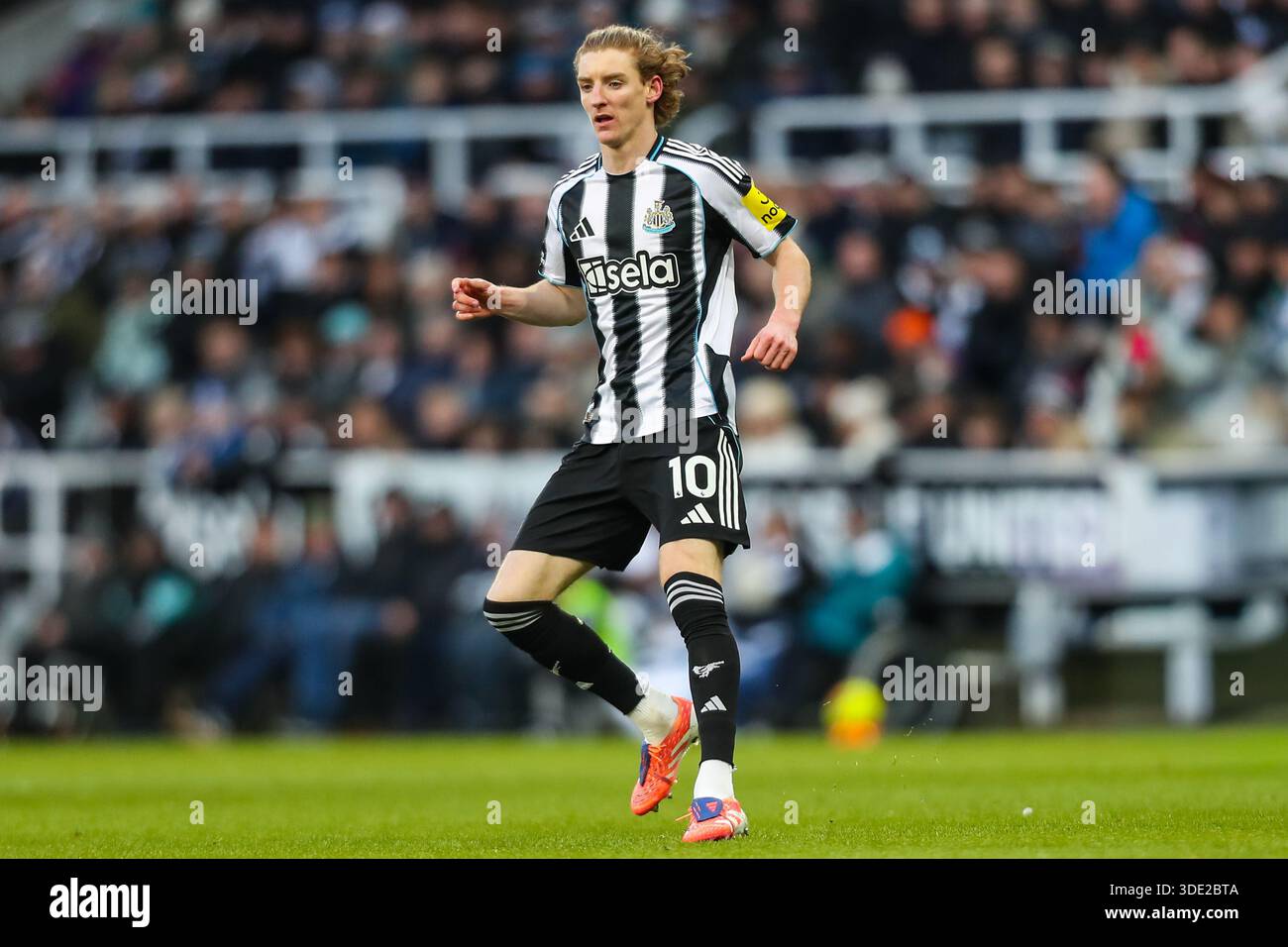 Anthony Gordon Of Newcastle United during the Newcastle United v ...