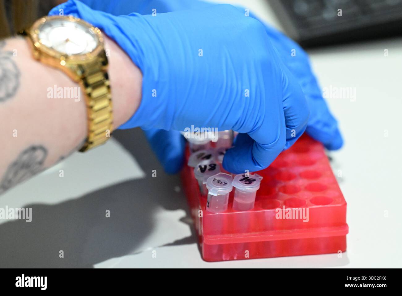 Detail image of Scientist Katie Smith handling equipment while ...