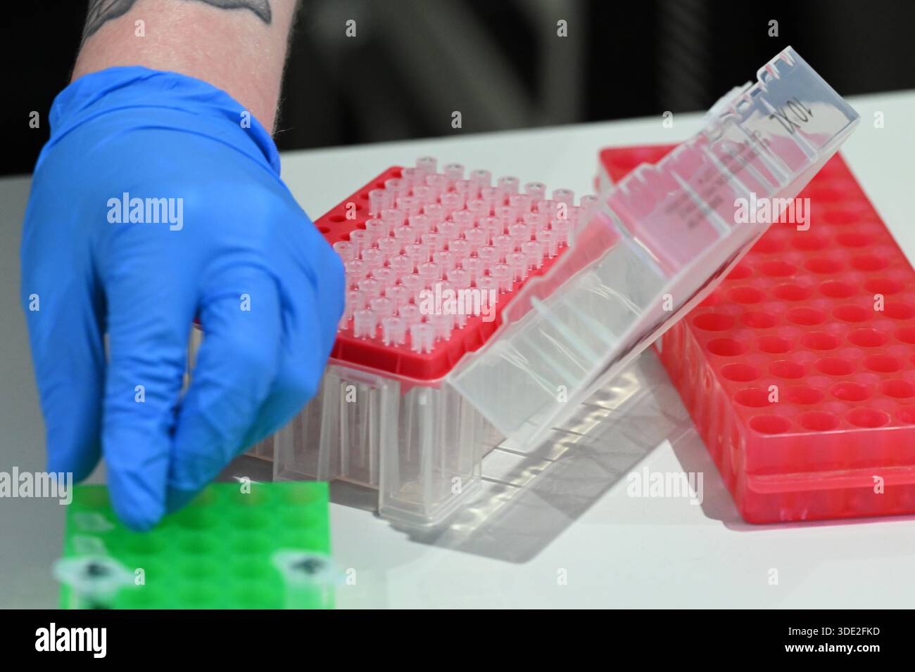 Detail image of Scientist Katie Smith handling equipment while ...