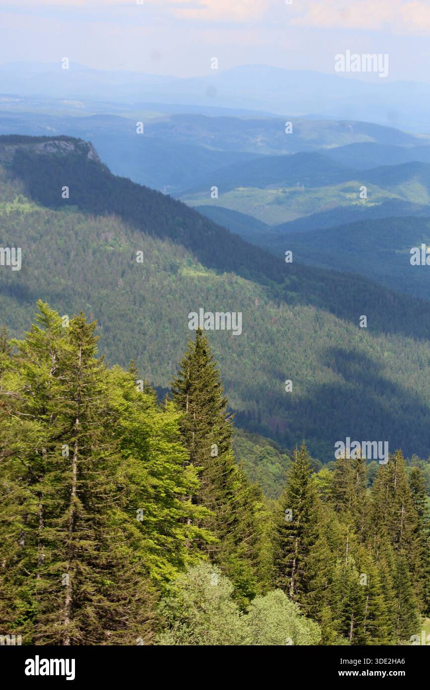 Elevated view capturing dense hi-res stock photography and images - Alamy