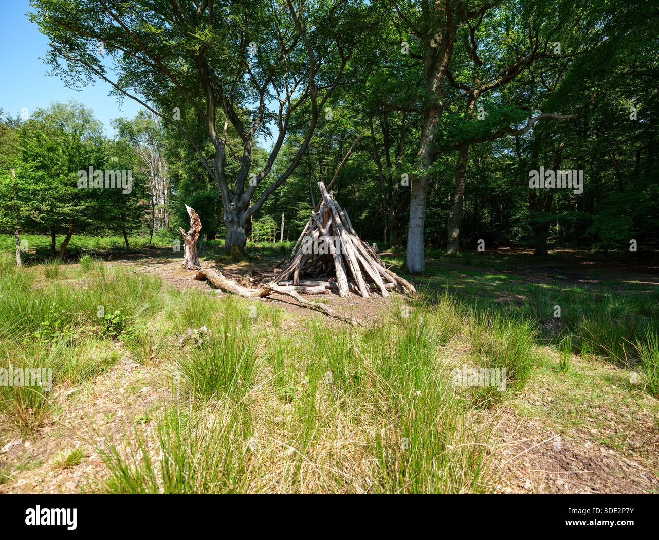 Primitive Wooden Shelter Made of Logs and Branches in a Green Forest ...