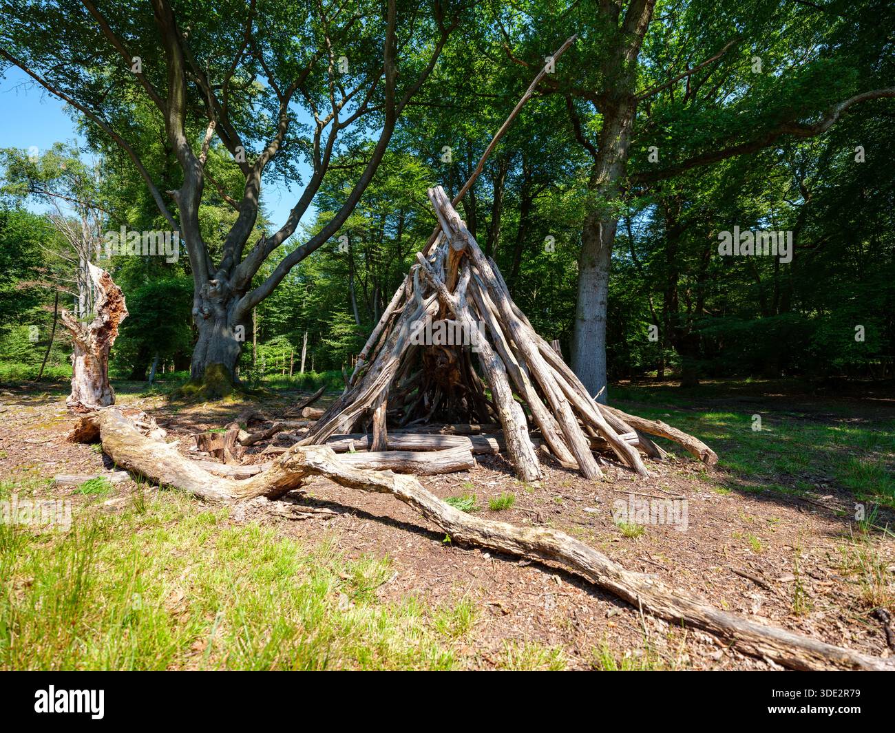 Primitive Wooden Shelter Made of Logs and Branches in a Green Forest ...