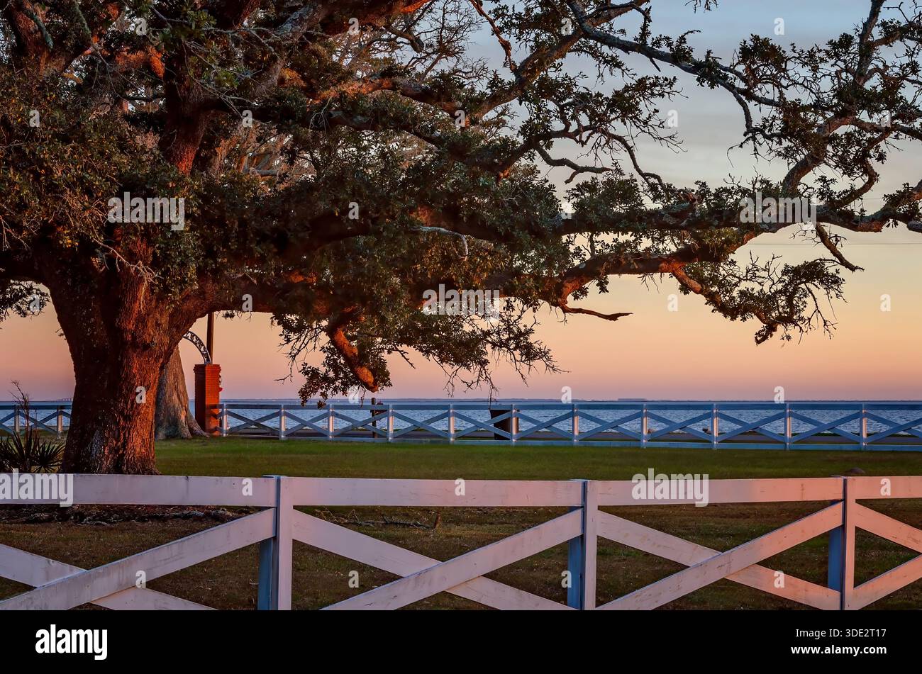 Trees along waterfront fence hi-res stock photography and images - Alamy