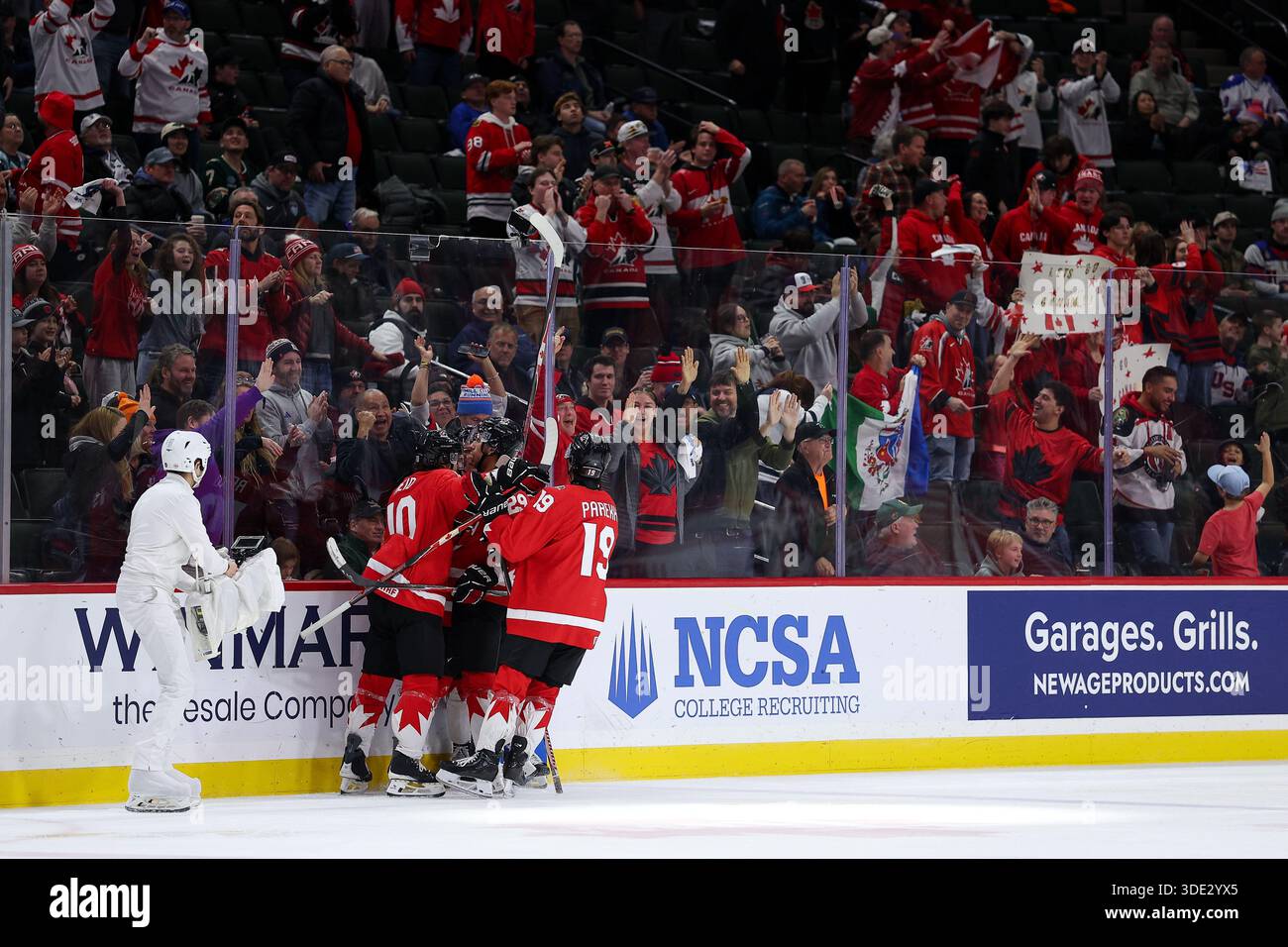 Canada forward Cole Reschny celebrates his goal with teammates during ...
