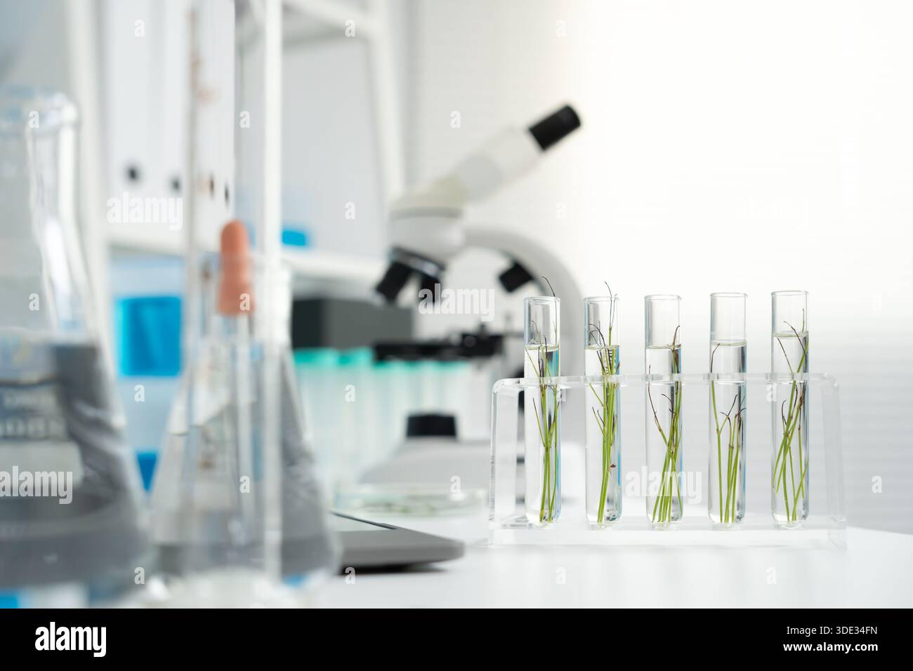 Environmental science, scientists examining plant genetics in test ...