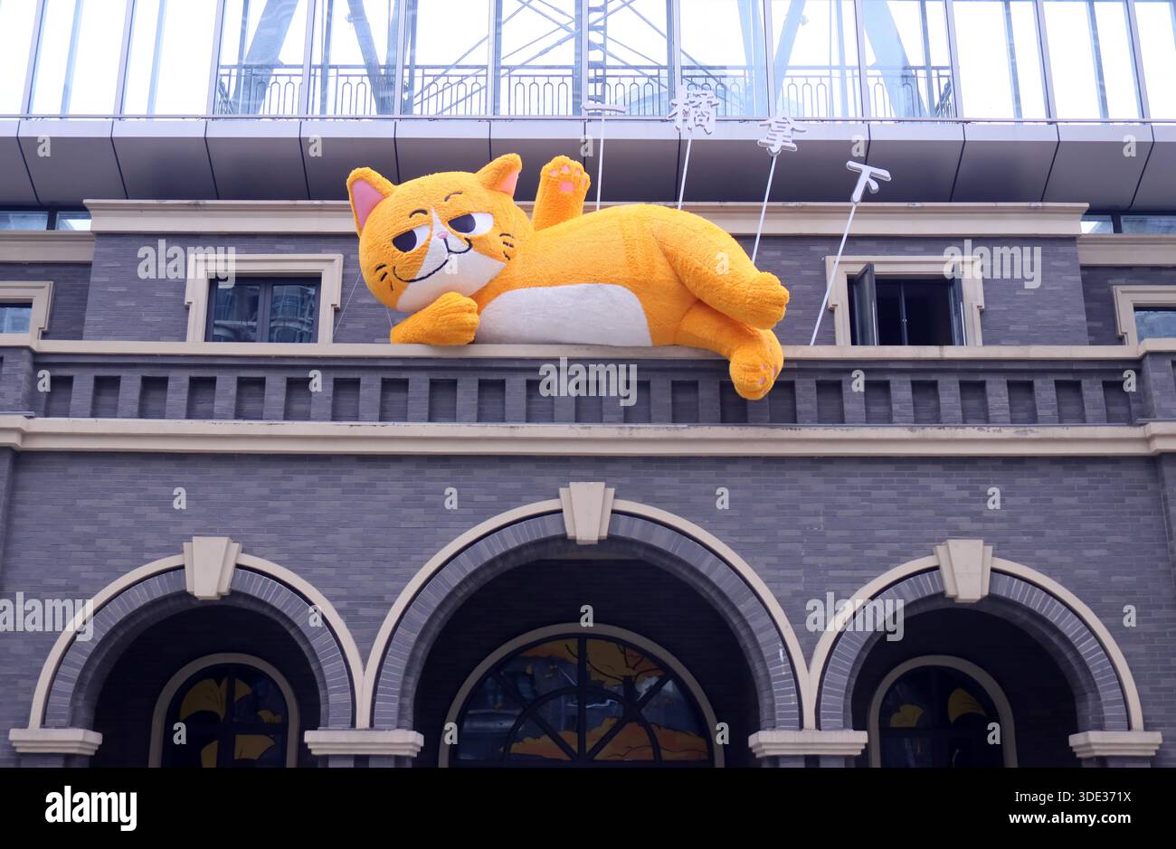 A cat-themed block opens in Changzhou City, east China's Jiangsu ...