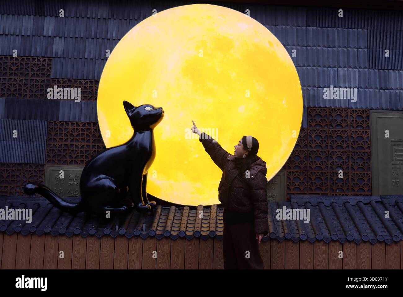 A cat-themed block opens in Changzhou City, east China's Jiangsu ...