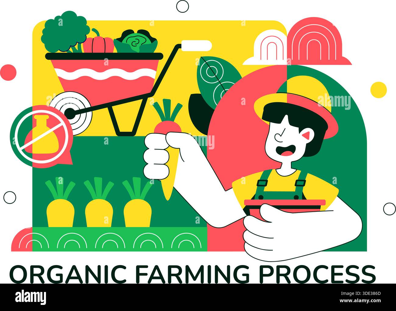 Organic Farming Process Vector Illustration Showing Sustainable ...