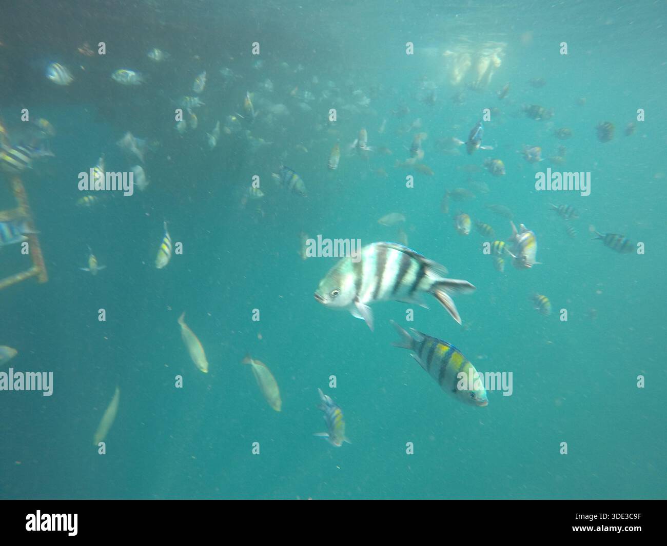 Indonesia gilli islands in hi-res stock photography and images - Alamy