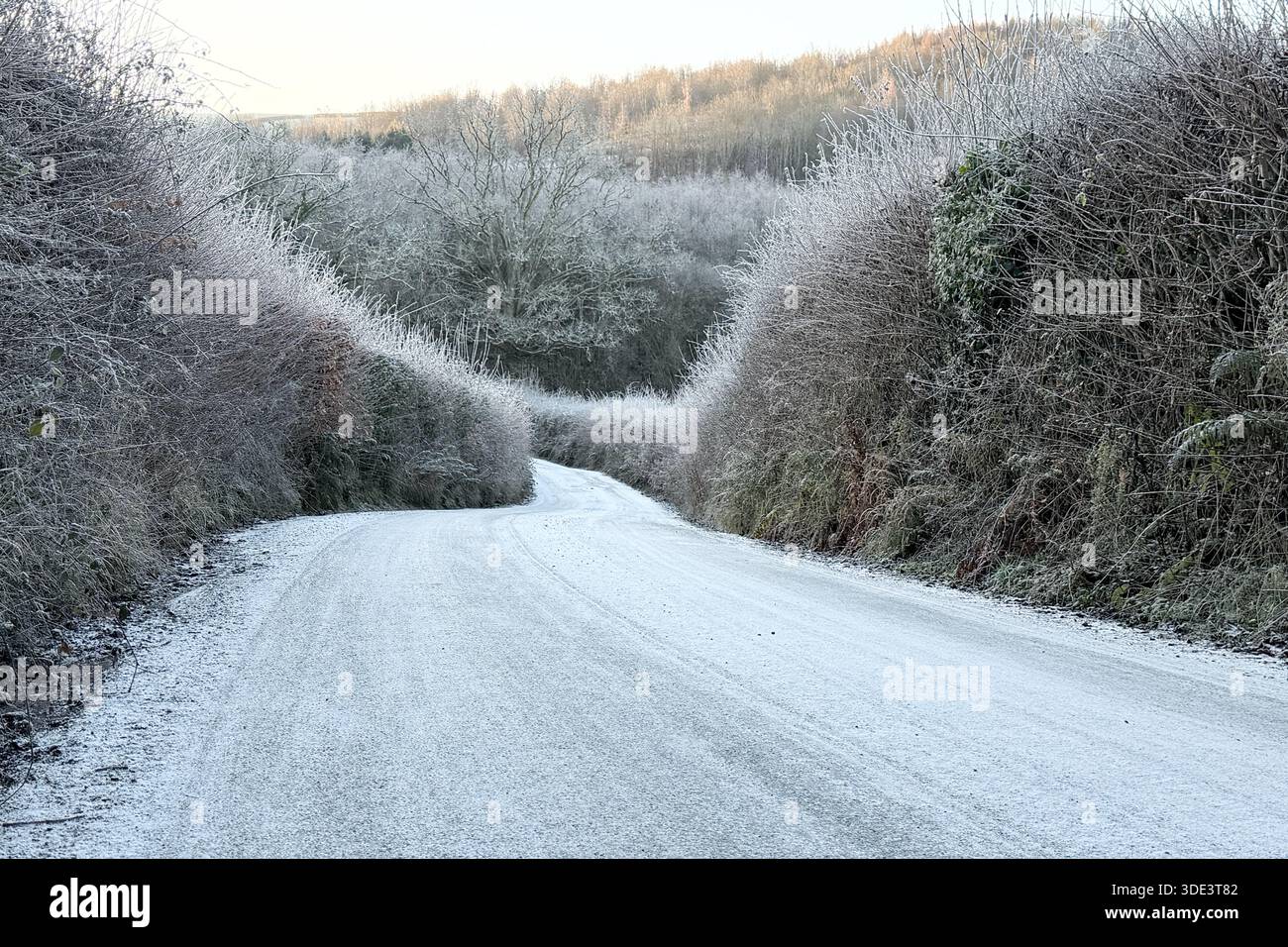 Doddiscombsleigh, Devon, UK. 5th January, 2026. UK Weather: Freezing ...