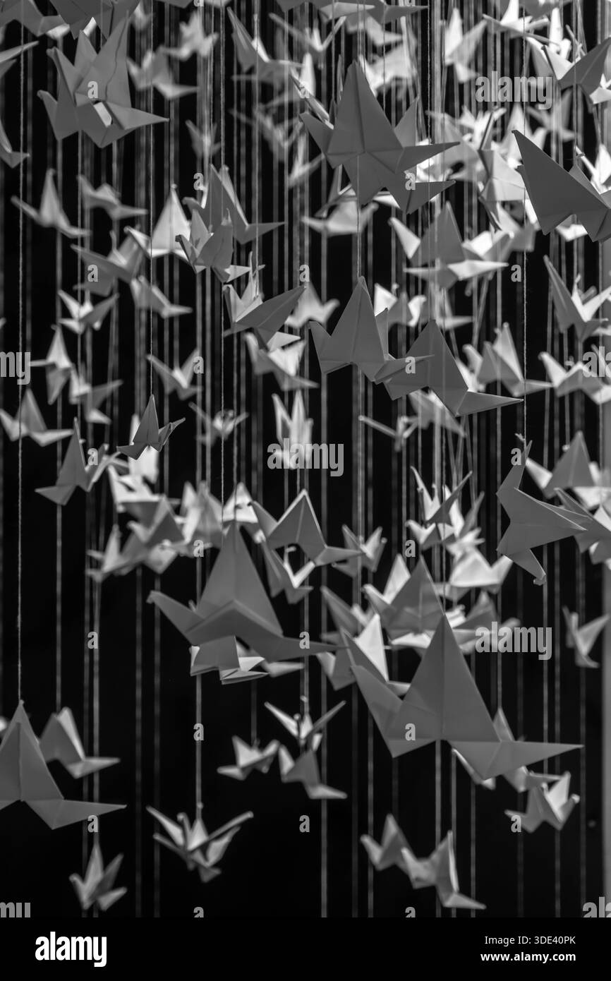 Birds attract Black and White Stock Photos & Images - Alamy