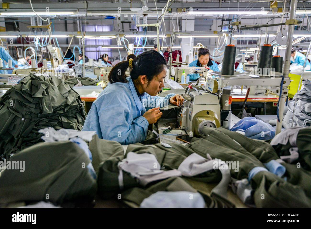 A female worker focuses on operating a sewing machine to process dark ...