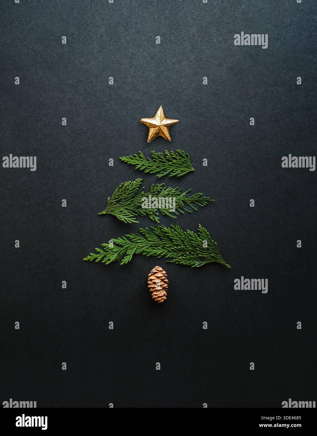 Simple Christmas tree shape made of cedar boughs on black background ...