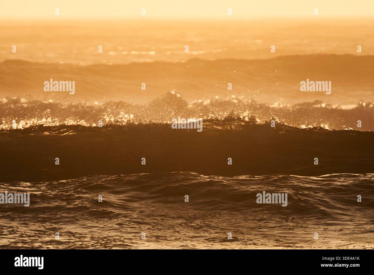 Pismo state beach oceano hi-res stock photography and images - Alamy