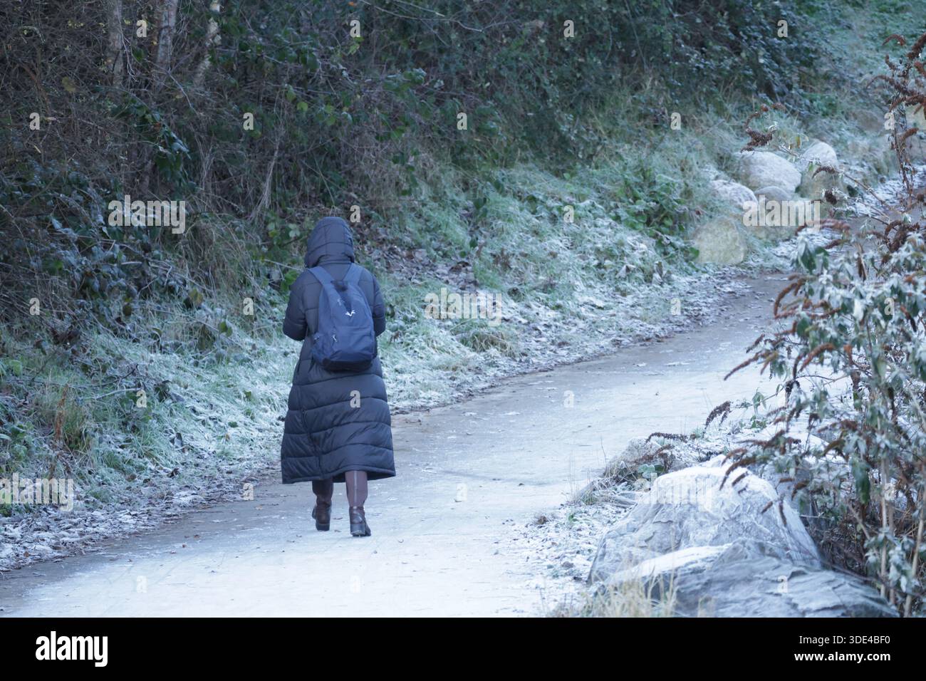 Dublin, Ireland - 05th January 2026: A woman walks up a frozen footpath ...