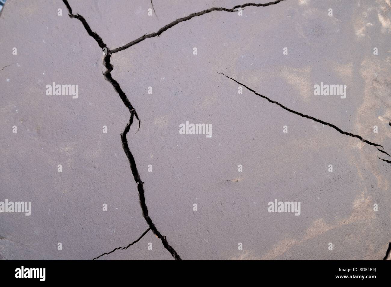 Branching lines create hi-res stock photography and images - Alamy