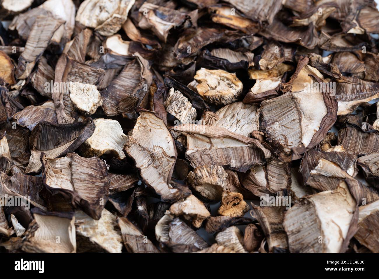 close up dried mushrooms pile textures earthy brown porcini slices ...