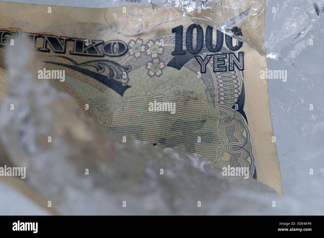 Japanese Thousand Yen Banknote Frozen in Ice Stock Photo - Alamy