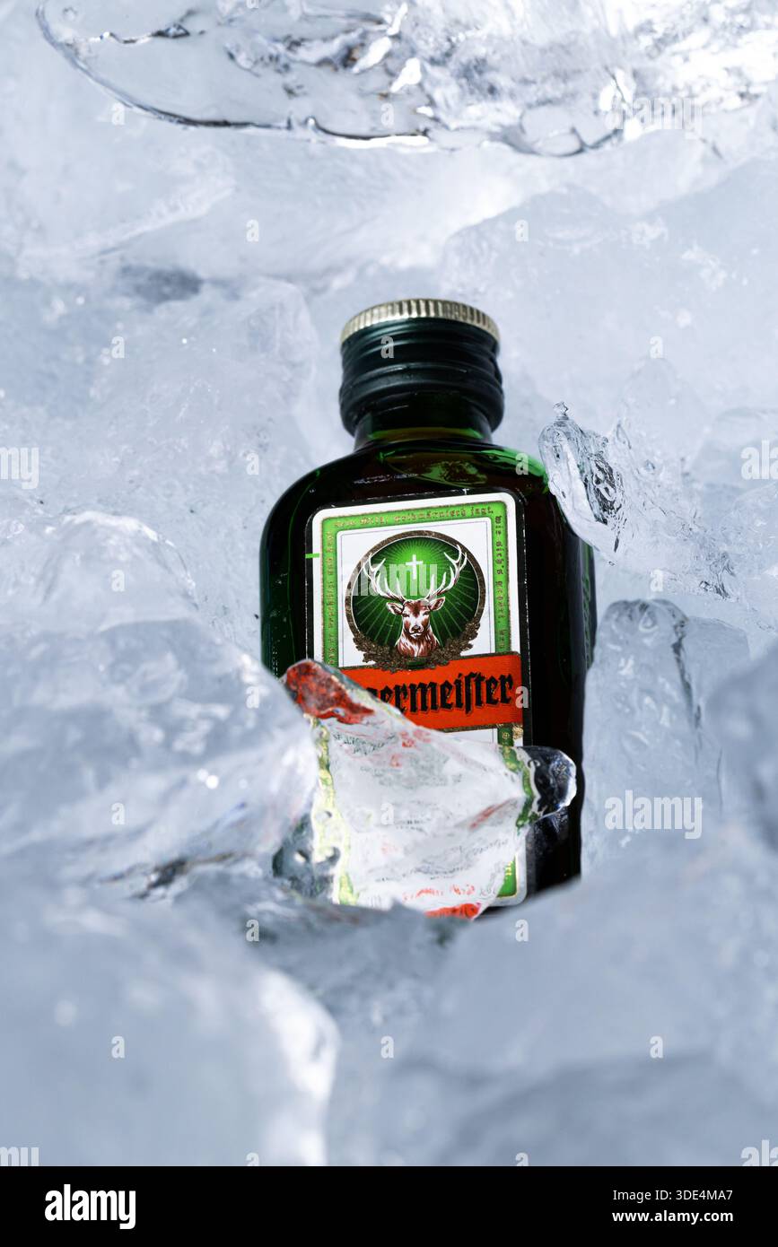 Lviv, Ukraine - February 5, 2026: Jägermeister bottle, German digestive ...