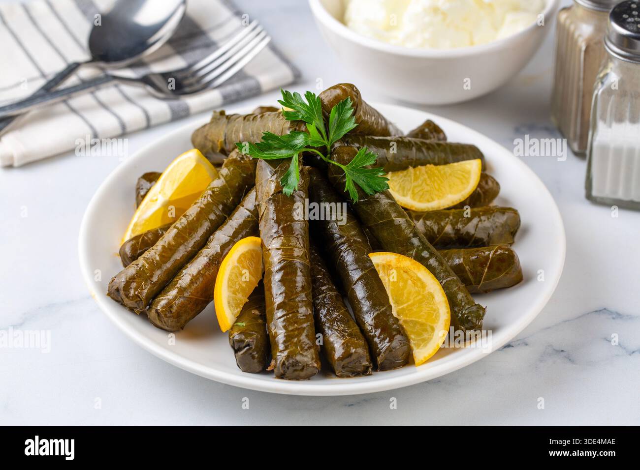Traditional delicious Turkish foods; stuffed leaves - Dolmathes ...
