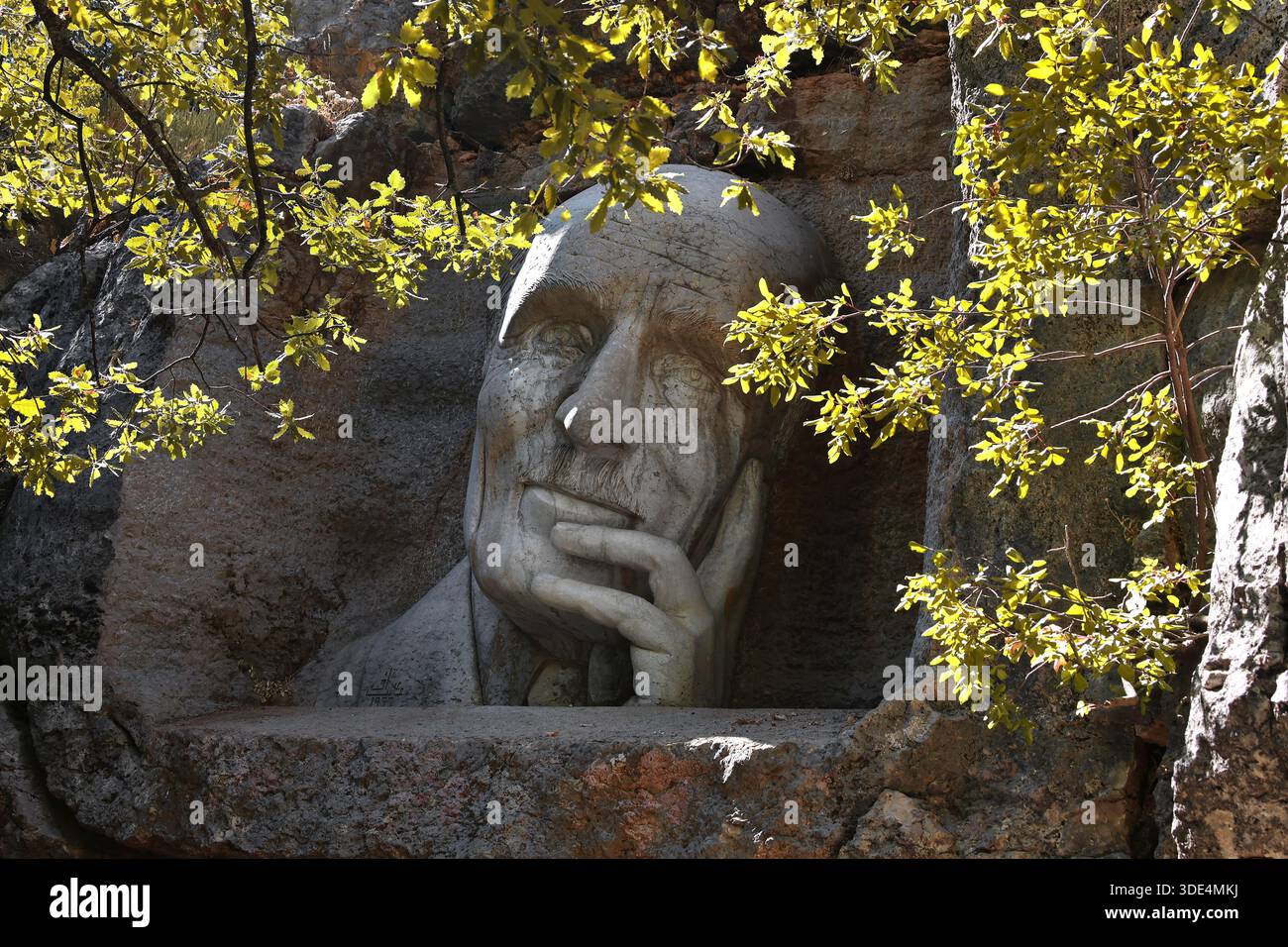 Naimy hi-res stock photography and images - Alamy