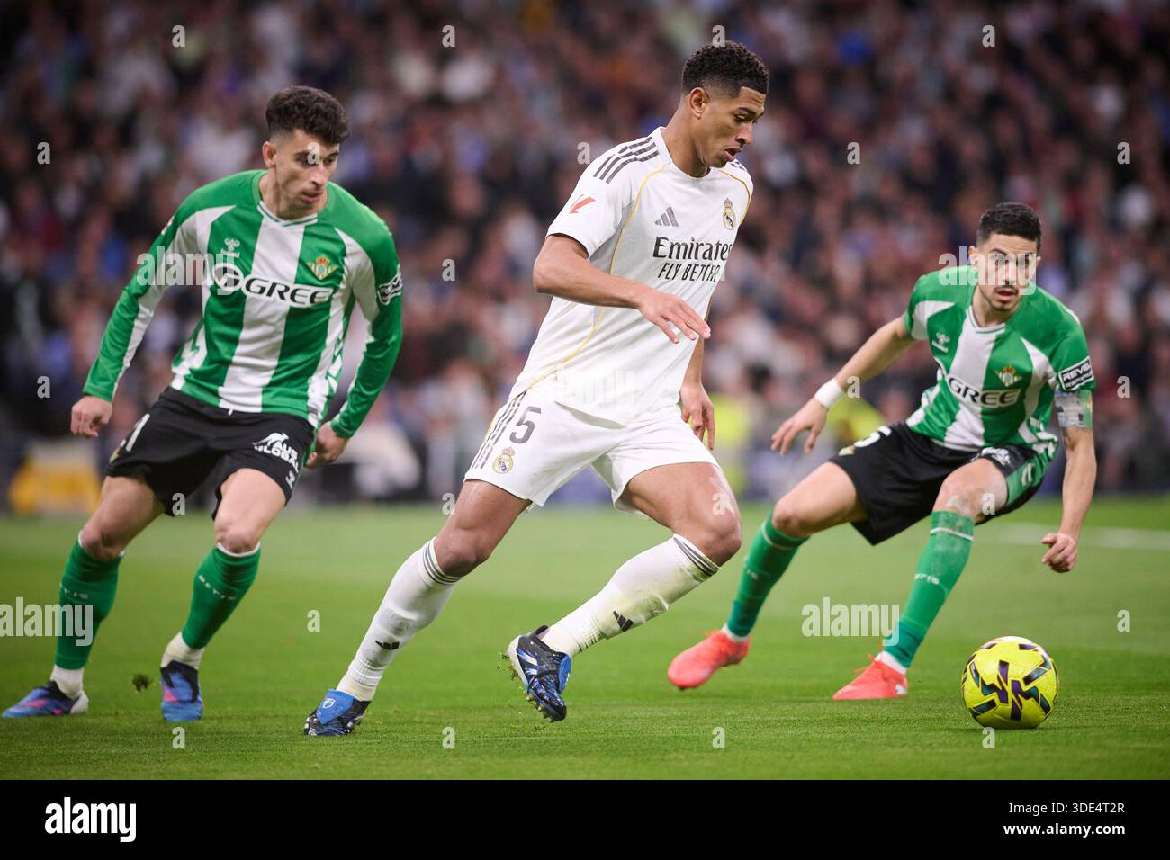 Real Madrid CF’s Jude Bellingham (C) and Real Betis Balompie's Marc ...