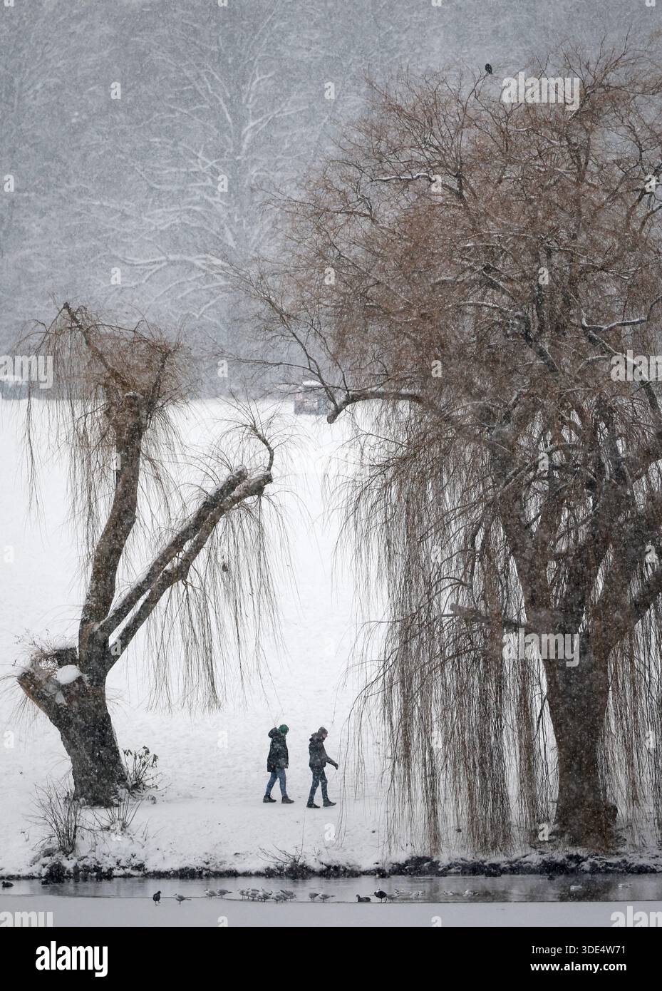 05 January 2026, Hamburg: People are out and about at the Stadtparksee ...