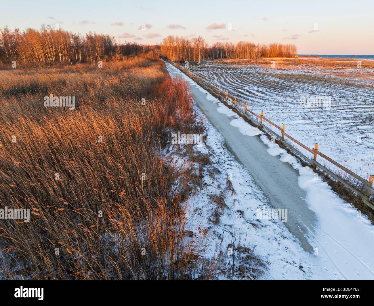 High angle drone view of a snowy path and golden reed fields at ...