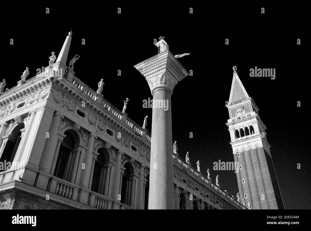 Network architecture nature Black and White Stock Photos & Images - Alamy