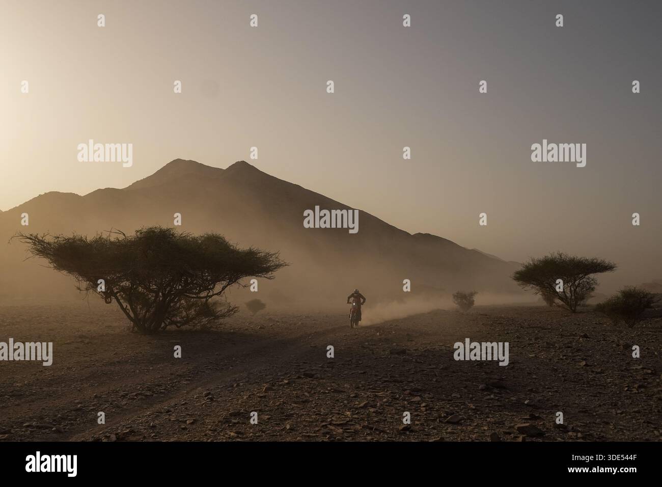 Rider Benjamin Melot competes during the second stage of the Dakar ...
