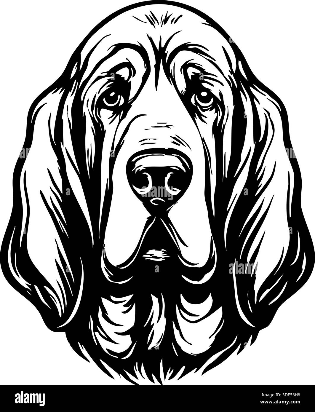 Animal skin wrinkles Stock Vector Images - Alamy