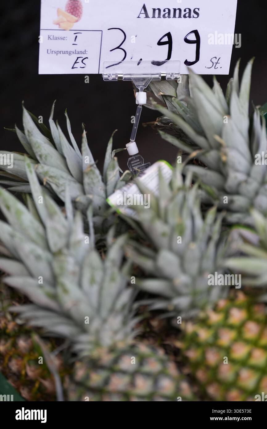 PRODUCTION - 05 January 2026, Hamburg: Pineapples are on display in a ...