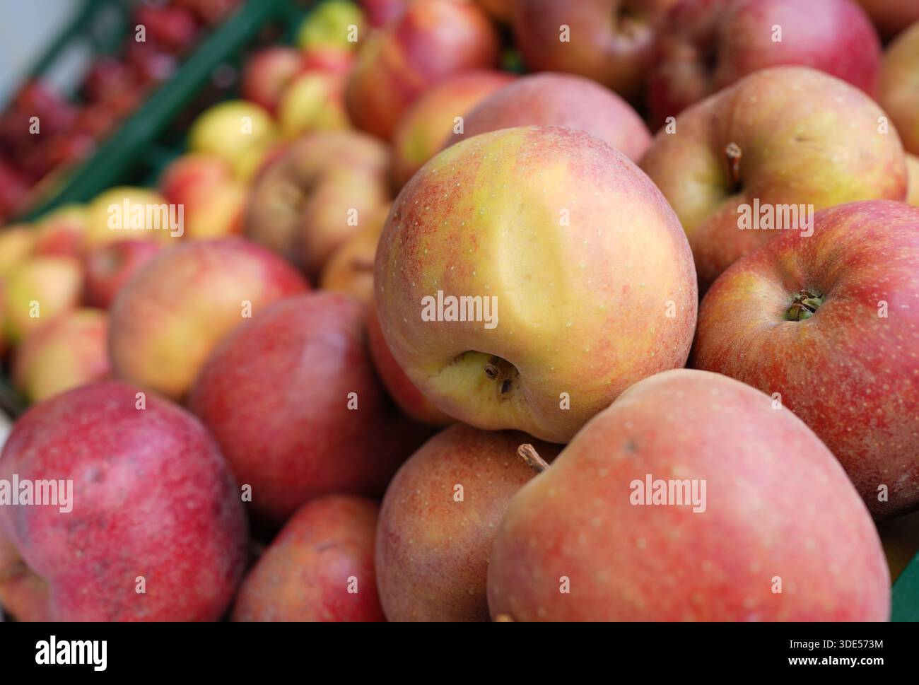 PRODUCTION - 05 January 2026, Hamburg: Apples are on display in a ...