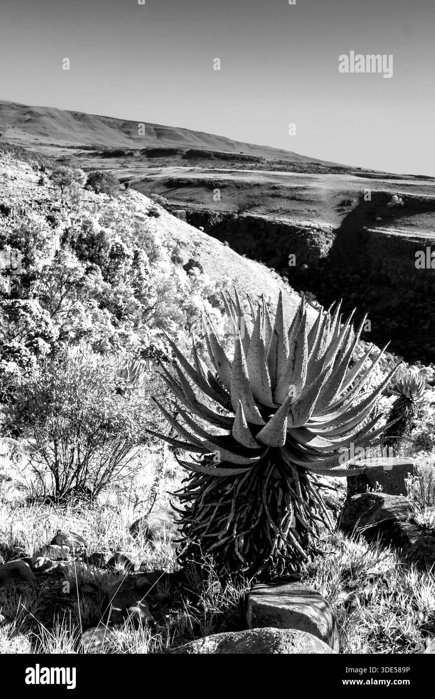 Remote habitat Black and White Stock Photos & Images - Alamy