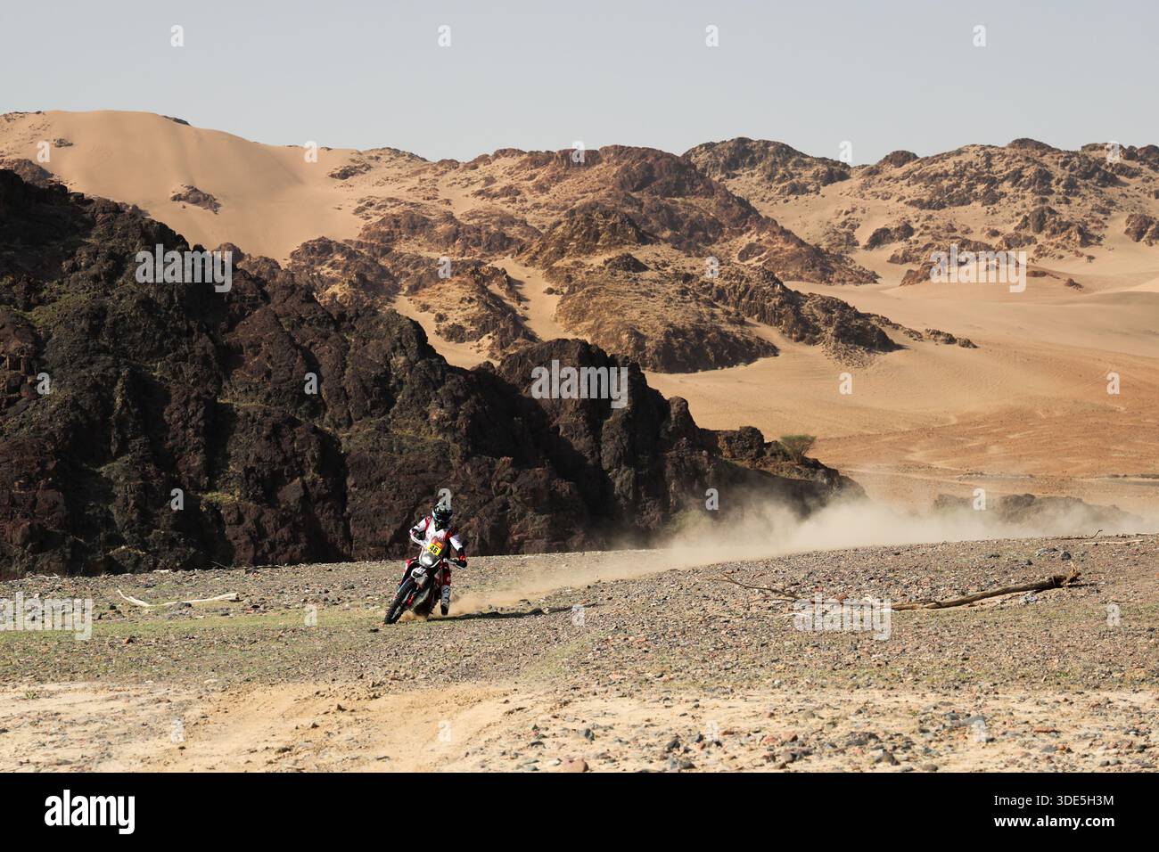 46 BRANCH Ross (bot), Hero Motosports Team Rally, Hero, Rally GP, FIM ...