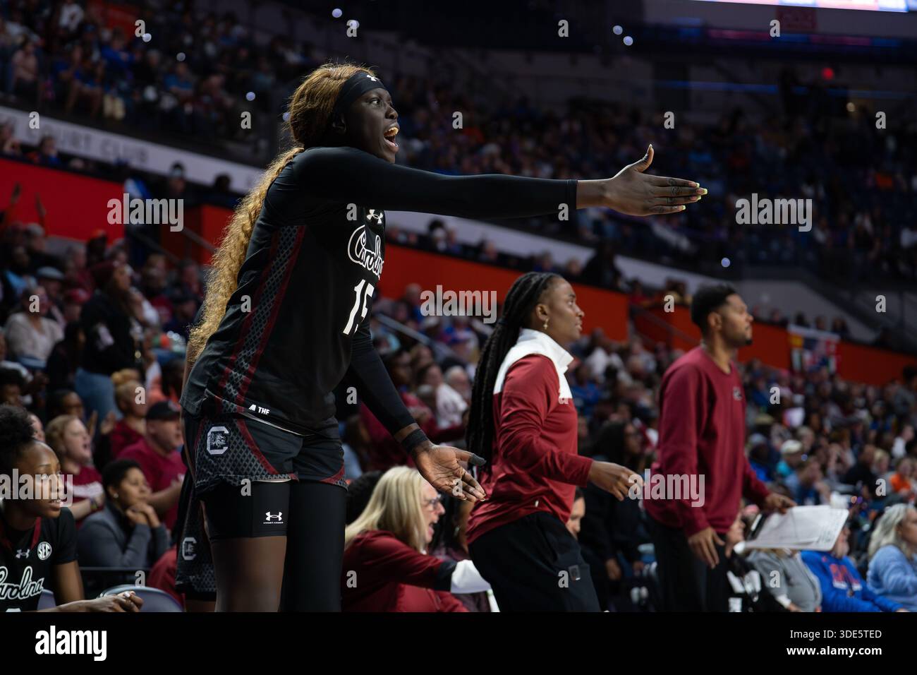 South Carolina forward Adhel Tac (15) gets heated on the bench as her ...