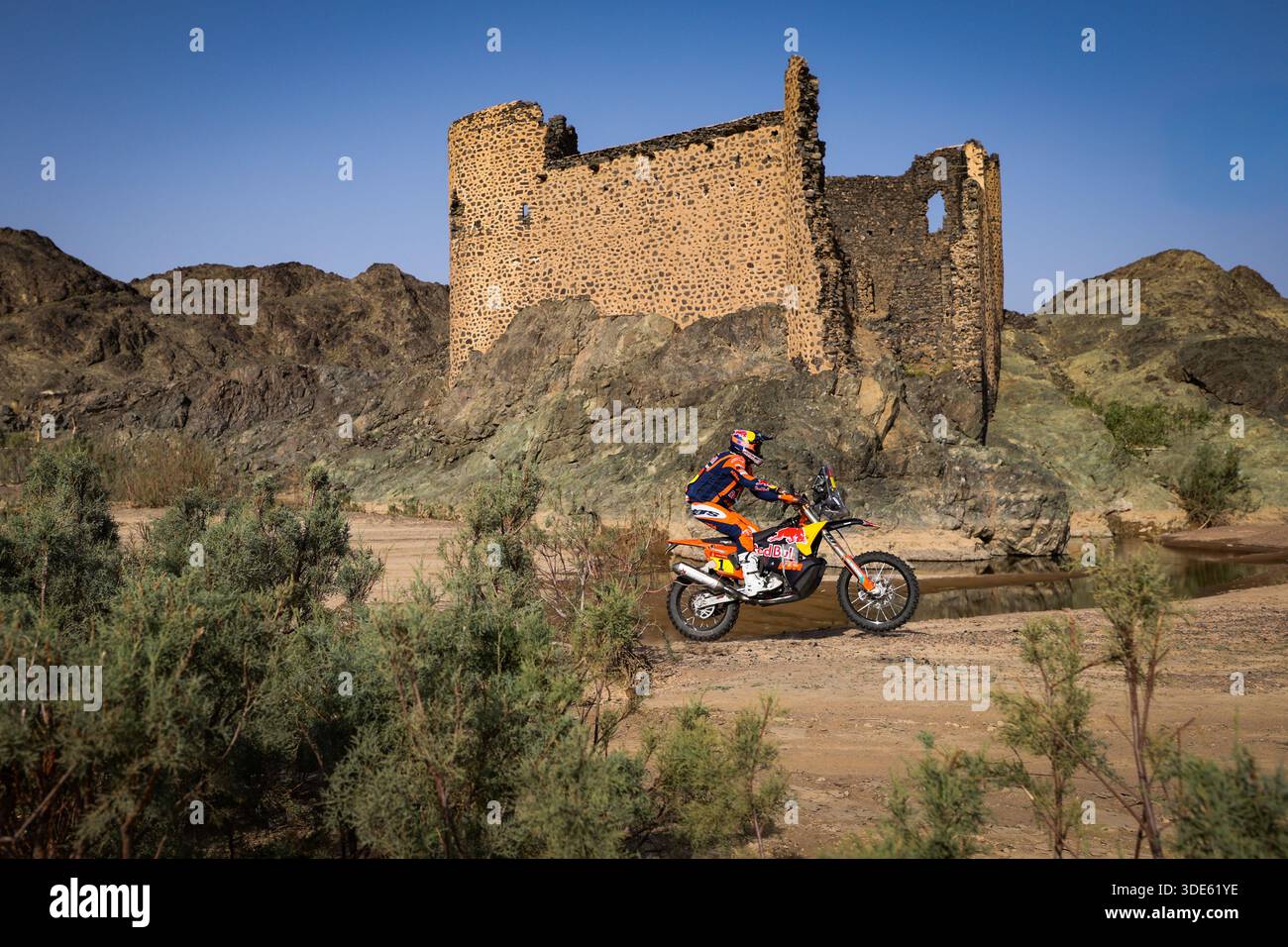 01 SANDERS Daniel (aus), Red Bull KTM Factory Racing, KTM, Rally GP ...