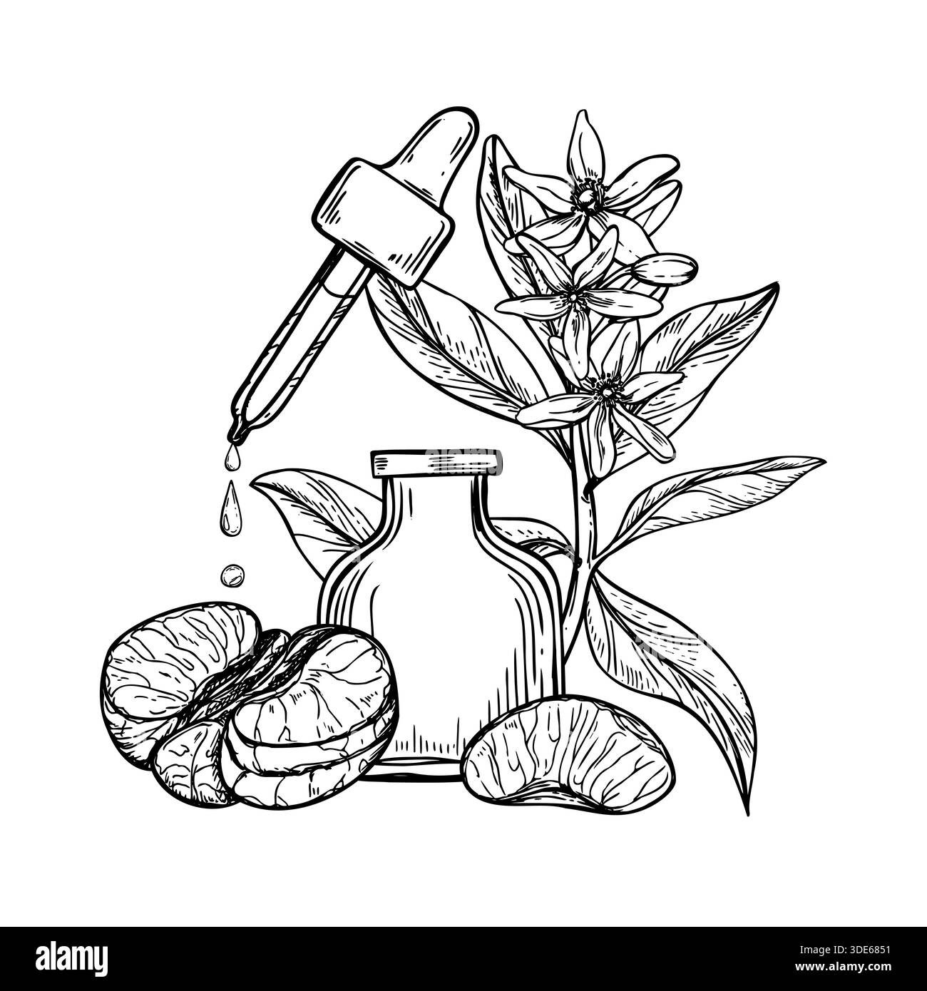 Diet essential Stock Vector Images - Alamy