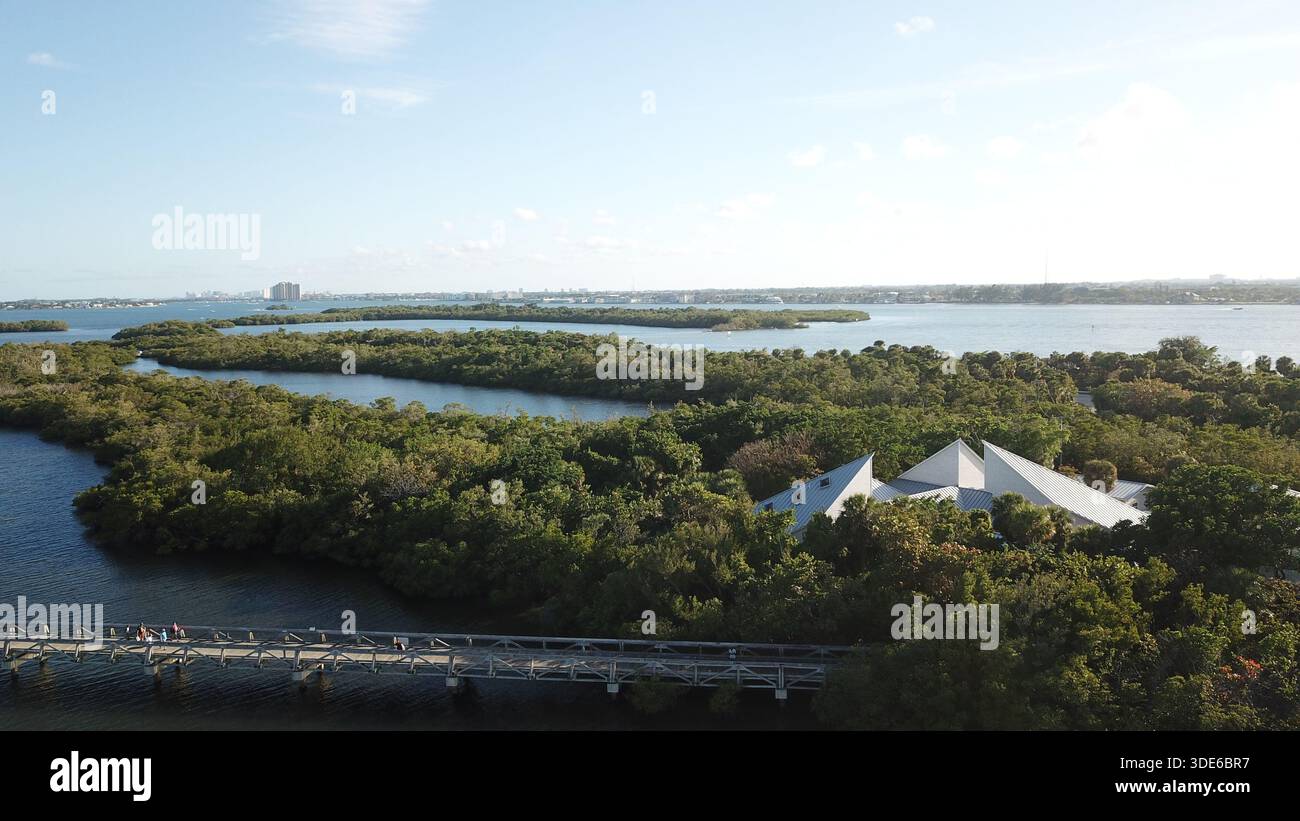 Aerial view of lush mangrove islands threaded with waterways ...
