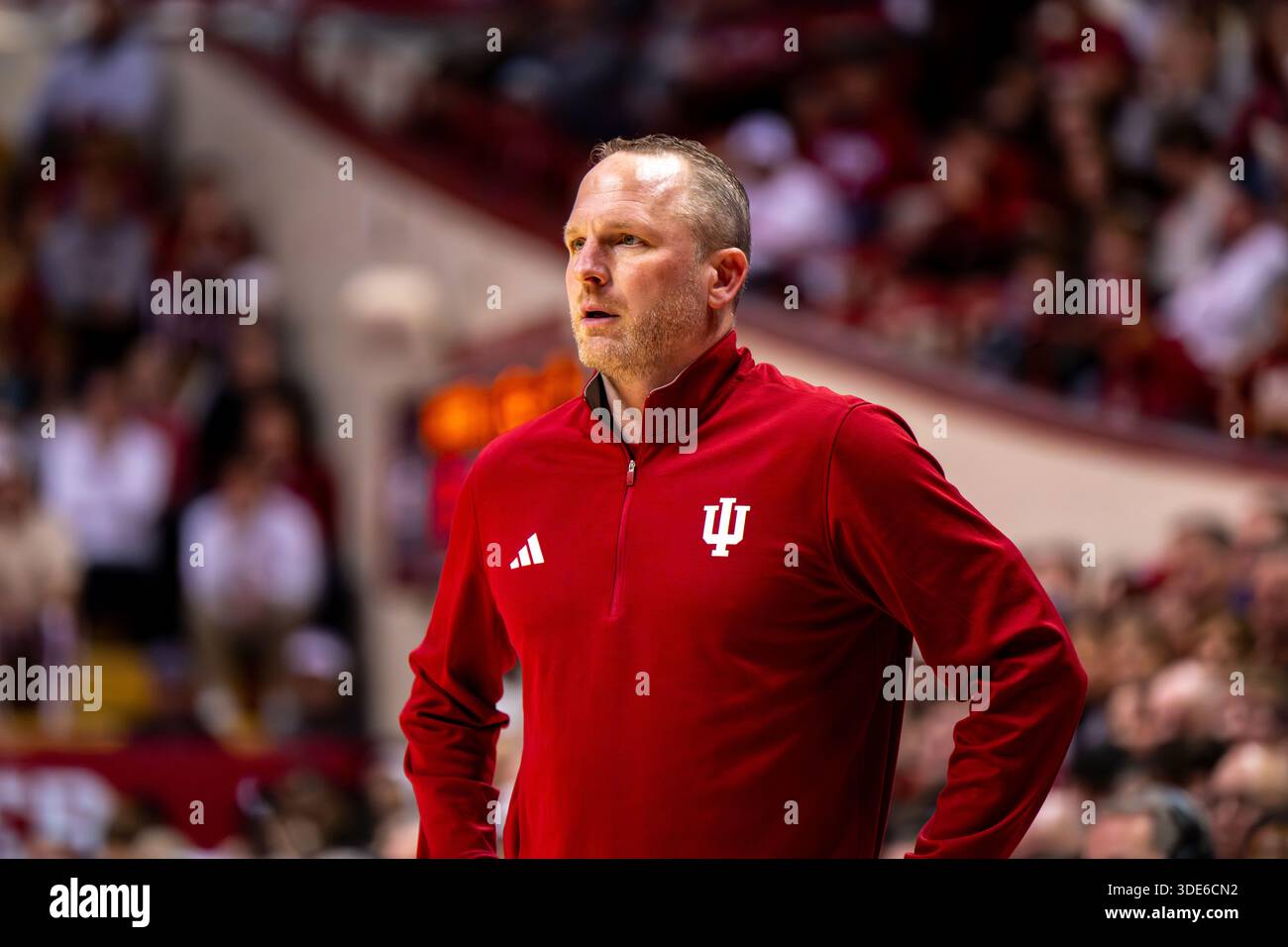 Indiana head coach Darian DeVries during an NCAA college basketball ...