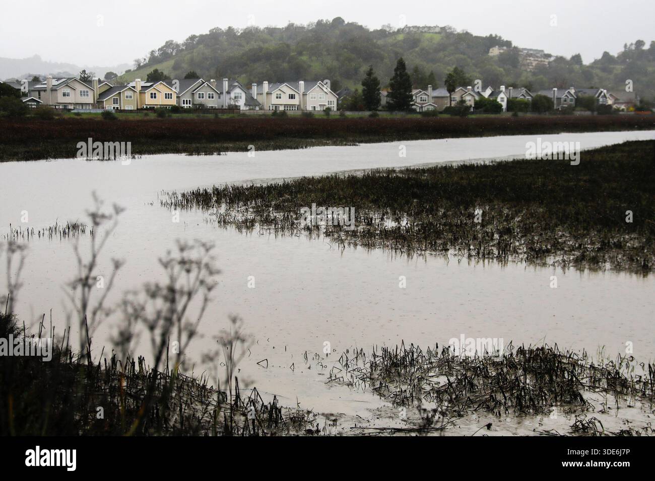 A slough leading from the Santa Venetia Levee is seen in San Rafael ...