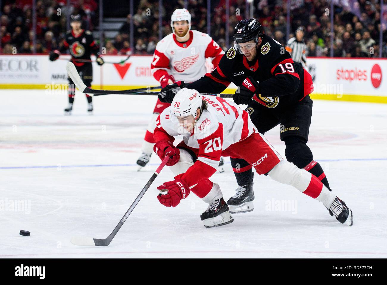 Ottawa Senators' Drake Batherson (19) cross-checks Detroit Red Wings ...