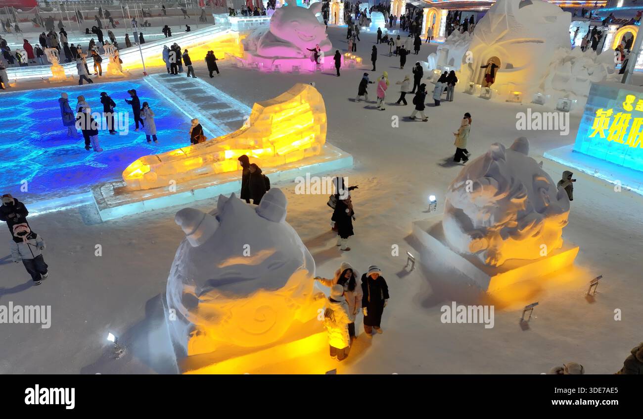 People visit the 27th Harbin Ice and Snow World in Harbin City ...