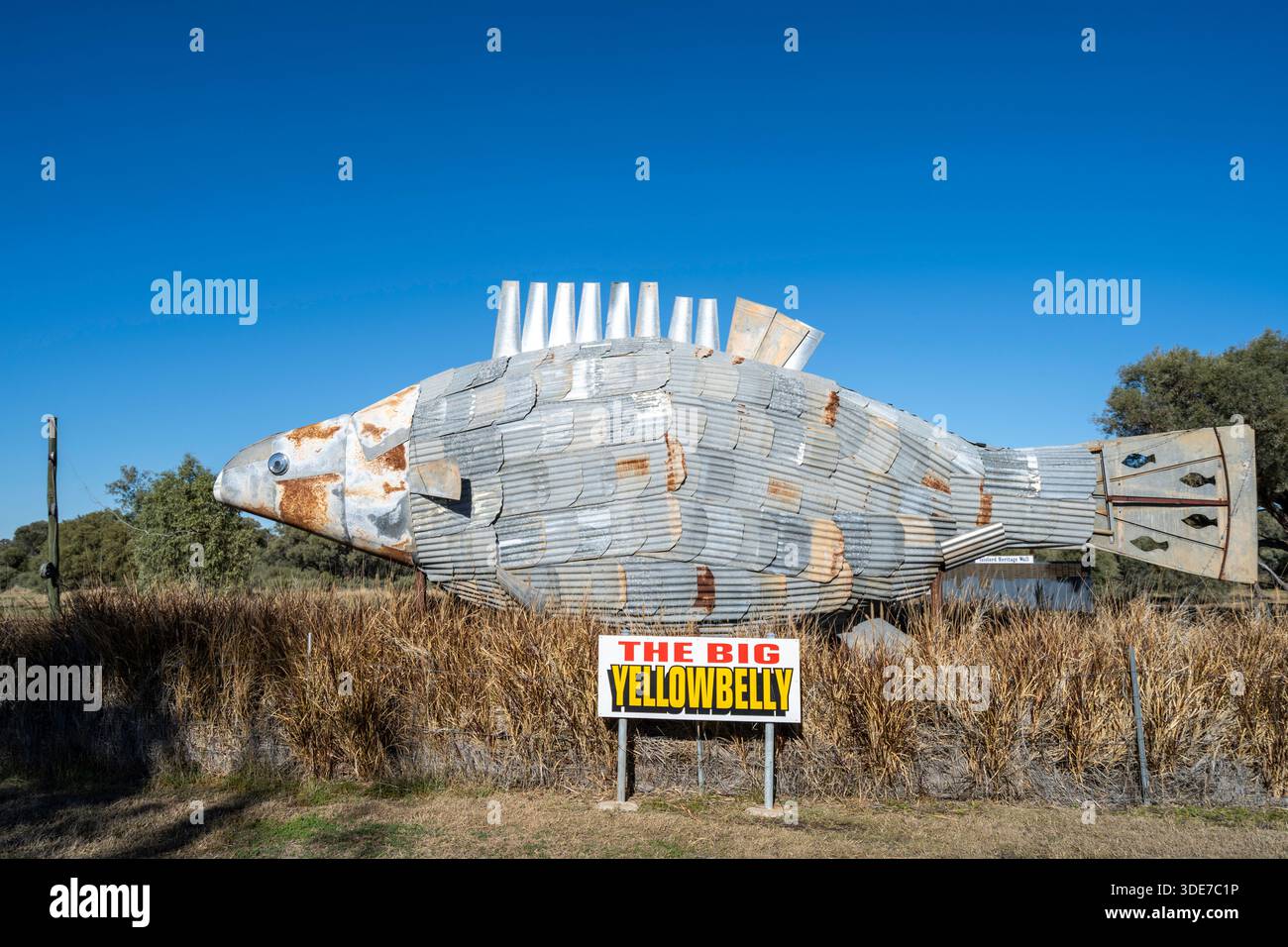 The Big Yellowbelly, Isisford, Queensland, Australia Stock Photo - Alamy