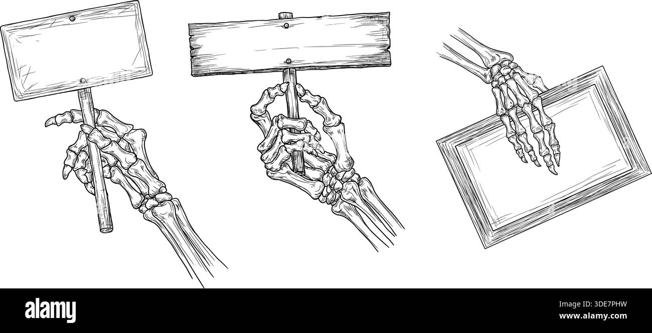 Skeleton hand holding wooden sign, set, sketch. Vector illustration ...