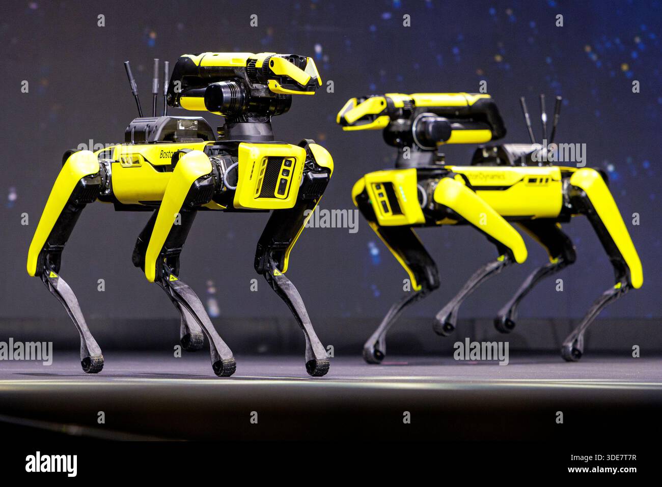 Boston Dynamics robots at the Hyundai presentation during Media Days at ...