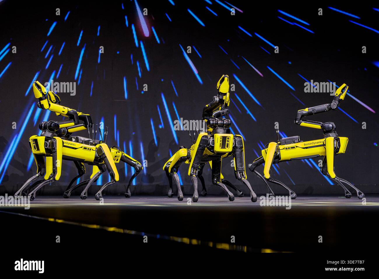 Boston Dynamics robots at the Hyundai presentation during Media Days at ...